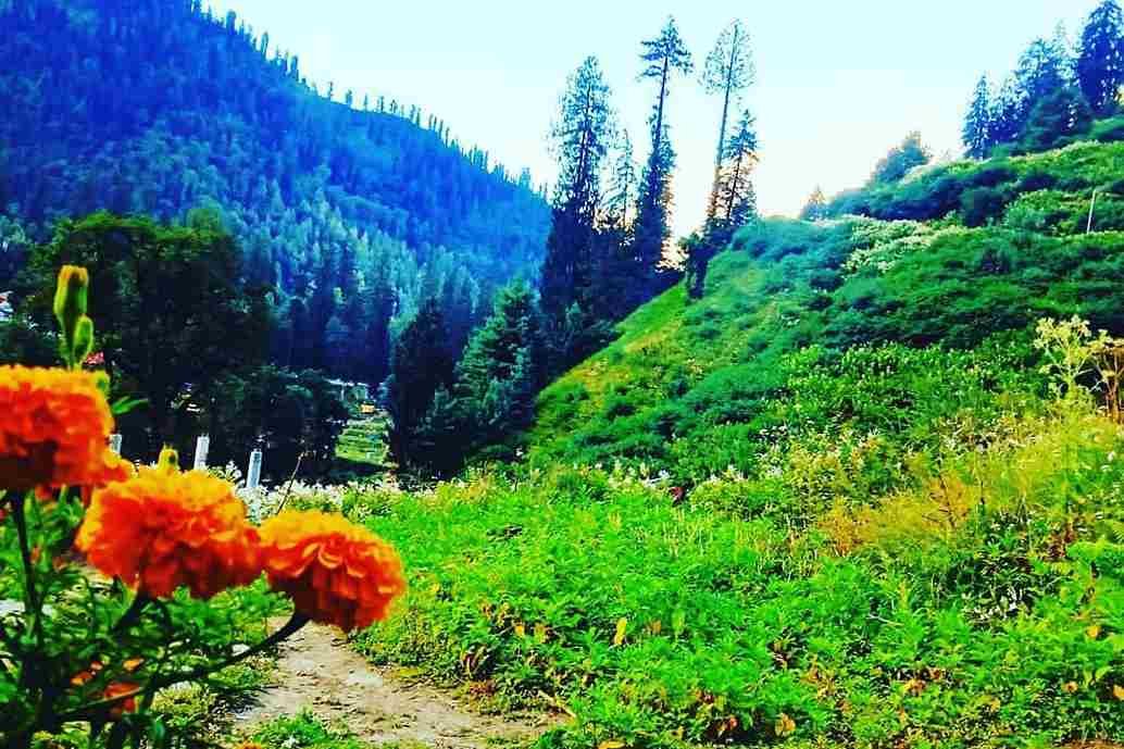 Camping in Solang Valley - Broza Adventures